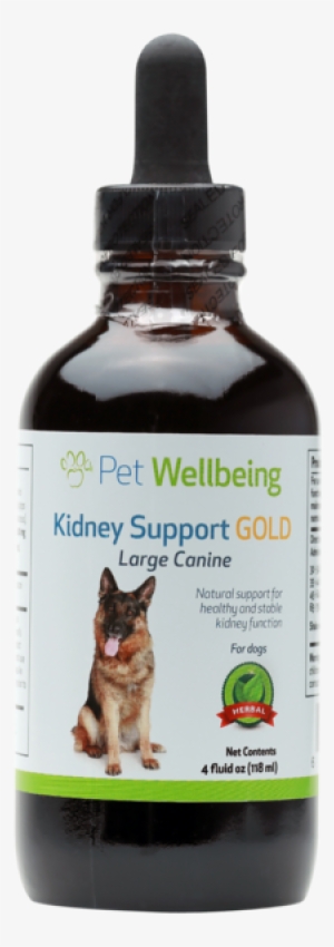Kidney Support Gold For Dogs And Cats - Pet Wellbeing - Kidney Support ...