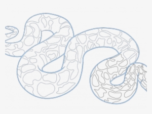 Snake Png Image - Python Snake Drawing - 736x615 PNG Download - PNGkit