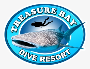 Treasure Bay Dive Resort Philippines - Scemo E Più Scemo - 2857x2214 ...