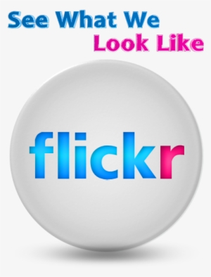Afi Flickr 3d Button 2 - Flickr Logo 3d - 406x522 PNG Download - PNGkit