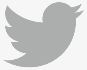 Twitter Logo Vector Grey - 650x425 PNG Download - PNGkit