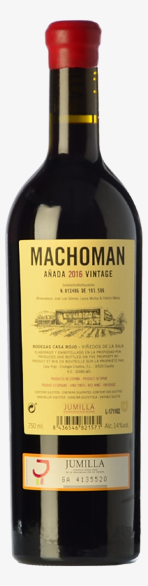 Macho Man PNG, Free HD Macho Man Transparent Image - PNGkit