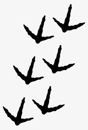 Turkey Tracks - Turkey Tracks Svg - 1050x1549 PNG Download - PNGkit