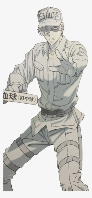 White Blood Cell Cells At Work - 502x1001 PNG Download - PNGkit