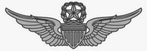 Us Army Master Aviator Badge - Master Aviator Badge - 752x259 PNG ...