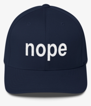 Nope Nope - Cute Kawaii Dinosaur - 728x728 PNG Download - PNGkit