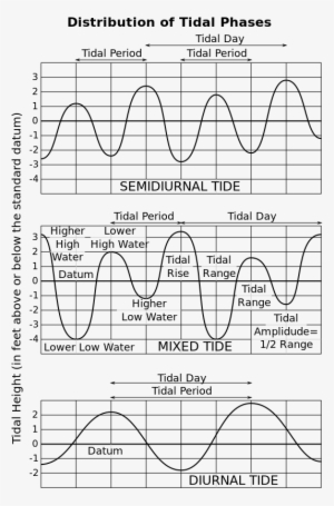 File - Tide Type - Svg - Types Of Tides - 539x818 PNG Download - PNGkit