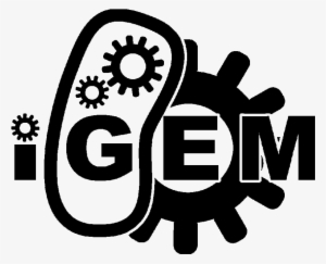 International Genetically Engineered Machine - 970x778 PNG Download ...