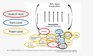 Spinal Cord Injury Levels - 962x1098 PNG Download - PNGkit