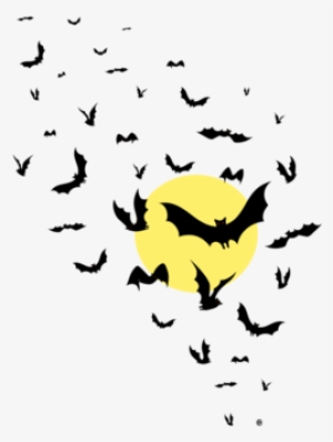 Drawn Bat Swarm Bat - D&d 5e Swarm Of Bats - 800x2206 PNG Download - PNGkit