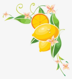 Bordures,tubes Coins,corners Label Paper, Flower Frame, - Tubes Corners ...