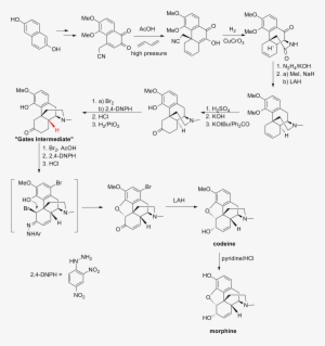 Synthesis Of Paracetamol From Phenol - Synthesis Of Paracetamol From 4 ...