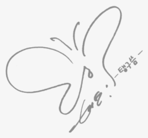 Signature Of Kim Tae-yeon - Snsd Taeyeon Signature - 500x454 PNG ...