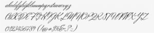 Herr Von Muellerhoff Font Specimen - Calligraphy - 1440x321 PNG ...