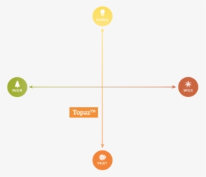 Analytical Data, Amount - Hop Flavour Spectrum - 740x640 PNG Download ...
