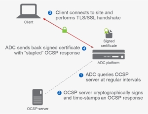 Ocsp Stapling 1 - Ocsp Stapling - 583x431 PNG Download - PNGkit