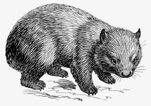 Vector Black And White Download File Psf Png Wikimedia - Combat Wombat ...