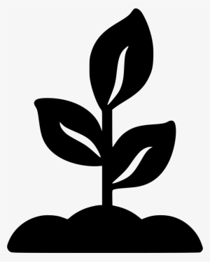 Biology Plants Life Test Experiment Comments - Grow Icon - 782x980 PNG ...