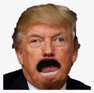 Image Derp Transparent Patric - Patrick Star Derp - 463x532 PNG ...