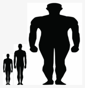 Image - 5 11 And 6 0 Comparison - 500x514 PNG Download - PNGkit