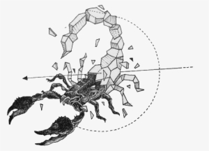 Scorpions Scorpion Animal Black Geometry Geometric - Geometric Beast ...