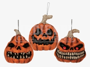 Rotten Pumpkin Patch Set - 646x646 PNG Download - PNGkit