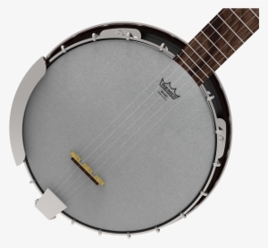 Banjo Head Coated Top Image - Remo Banjo - 600x600 PNG Download - PNGkit
