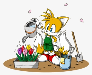Smug Tails In The Bottom Is Pure Gold, Isn't He And - Tyson Hesse Sonic ...