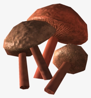 Cave Fungus - Fungi Transparent Background - 818x818 PNG Download - PNGkit