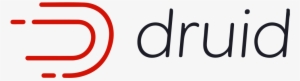 Druid Logo - Druid Database - 1024x281 PNG Download - PNGkit