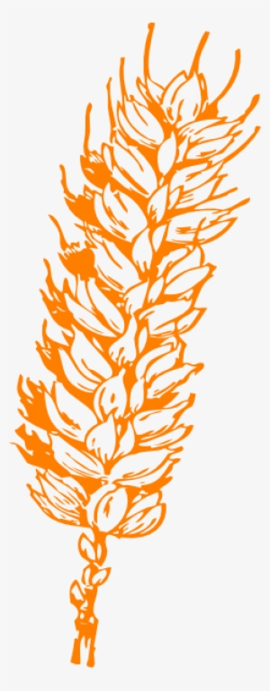 Html Bundle - Line Art - 1800x390 PNG Download - PNGkit