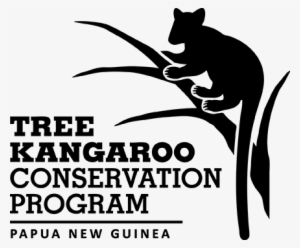 Tree Kangaroo Conservation Program - 432x358 PNG Download - PNGkit