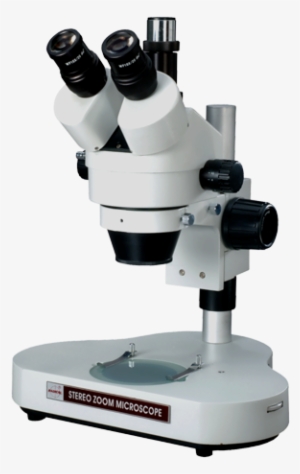 Trinocular Stereo Zoom Microscope - ميكروسكوپ - 308x500 PNG Download ...