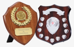 Trophy World Trophies Shields - Sports Trophy Shields - 500x302 PNG ...
