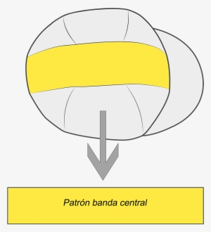 Patron Banda Central - Graphic Design - 1020x1020 PNG Download - PNGkit