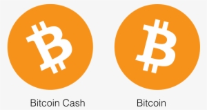 Bitcoin Cash Png - Bitcoin Cash Icon Png - 1920x1080 PNG Download - PNGkit