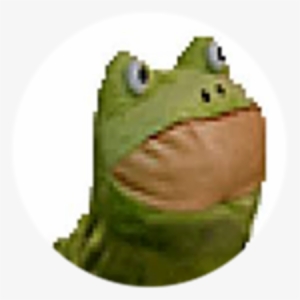 Get Out Frog - Mlg Frog Png - 500x500 PNG Download - PNGkit