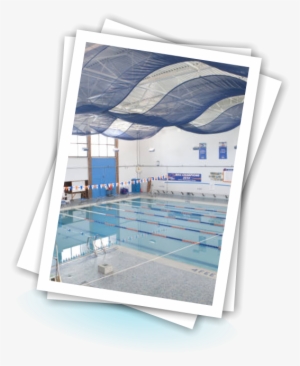 Boise State University Pool - Boise State University - 568x696 PNG ...