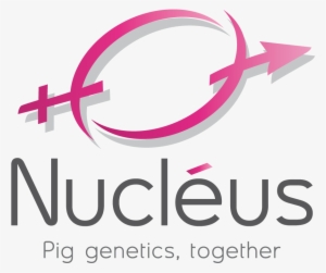Logo - Nucleus Intercom Logo - 1360x513 PNG Download - PNGkit