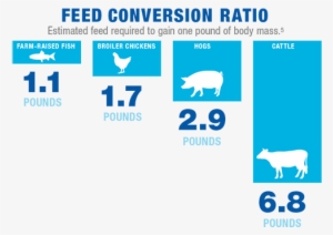 Gaa Food Supply Infographic Feed Conversion Ratio - Feed Conversion ...