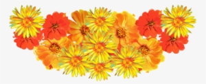 Flowers - Flowers On The Bottom Png - 585x252 PNG Download - PNGkit