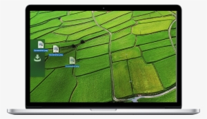 Yoink Overview - Myanmar Agriculture - 1040x600 PNG Download - PNGkit