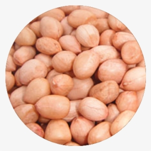 Ground Nuts - Peanut - 380x380 PNG Download - PNGkit