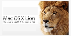 #41wcw2k Image De Lion - Mac Os X Lion Logo - 360x360 PNG Download - PNGkit