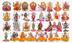 Divine Miraculous Bagalamukhi Dashamahavidya Sadhak - Sādhaka - 470x280 ...