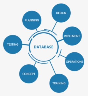 Maximize Your Databases And Dba's - Erp For Government - 376x400 PNG ...