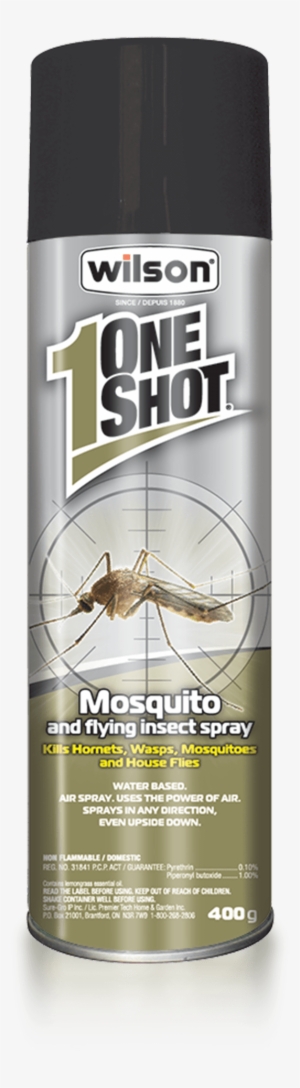 Arachnicide - 2160x2160 PNG Download - PNGkit