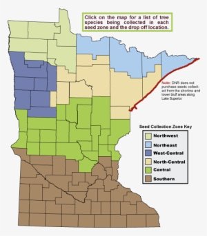 Before Collecting Seeds, Contact The Area Forestry - Minnesota Climate ...