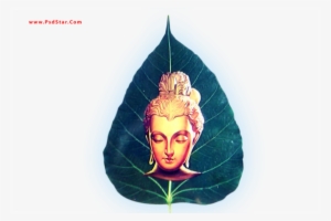 Buddha And Leaf Hd - Buddhism - 564x376 PNG Download - PNGkit
