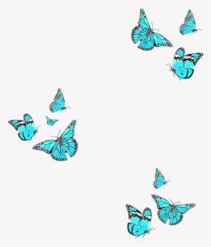 Freetoedit Remixit Butterfly Overlay Bluebutterfly - Picsart Photo ...
